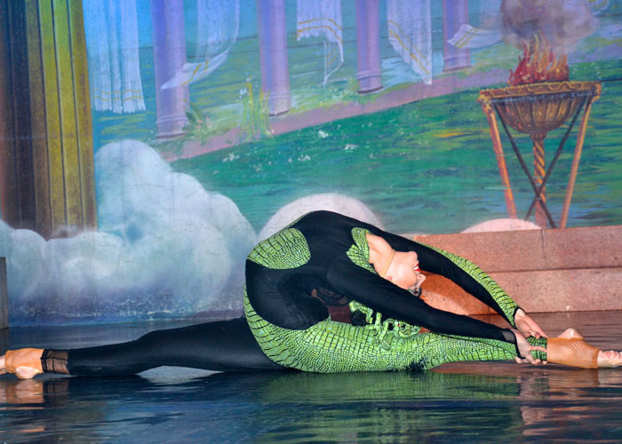 Book Paris Contortionist Performer Today | Scarlett Entertainment