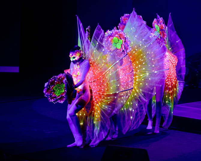 LED Butterflies - Stage Performance by LED Dance Trio
