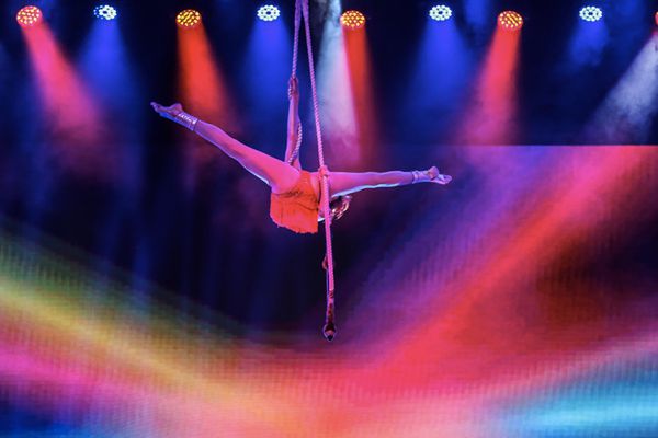 Book Dance Trapeze Performer | Scarlett Entertainment