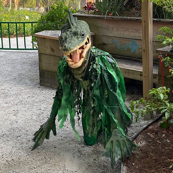 Book Now Swamp Gators | Scarlett Entertainment