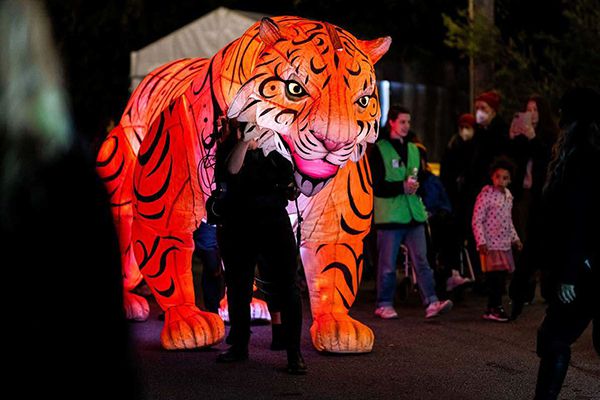 Book A Giant Roaming LED Tiger Puppet | Scarlett Entertainment