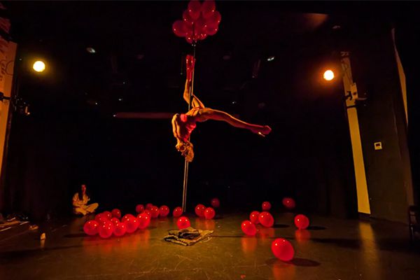 Book Aerial Pole New York | Scarlett Entertainment