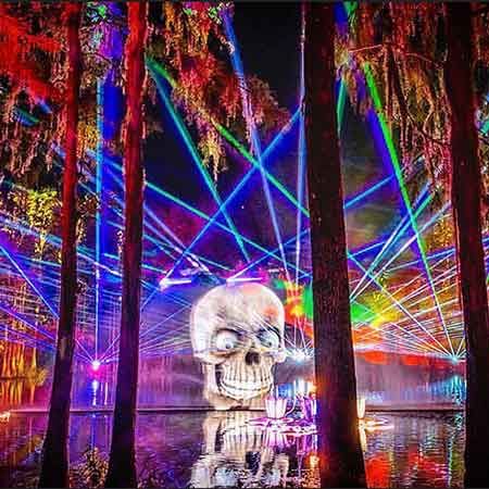 Book A Holographic Water Art Display | Scarlett Entertainment