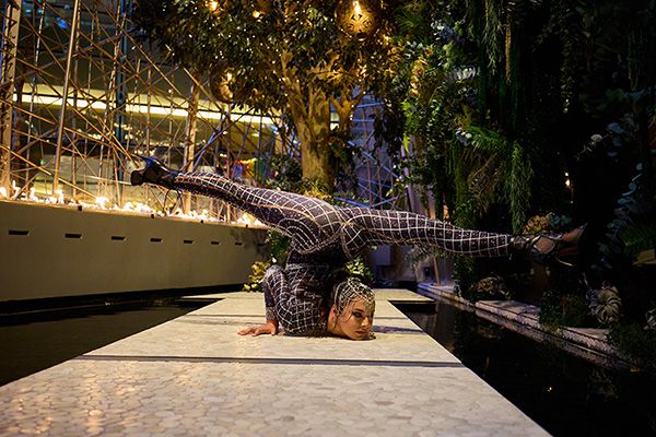 Book Contortion Las Vegas | Scarlett Entertainment