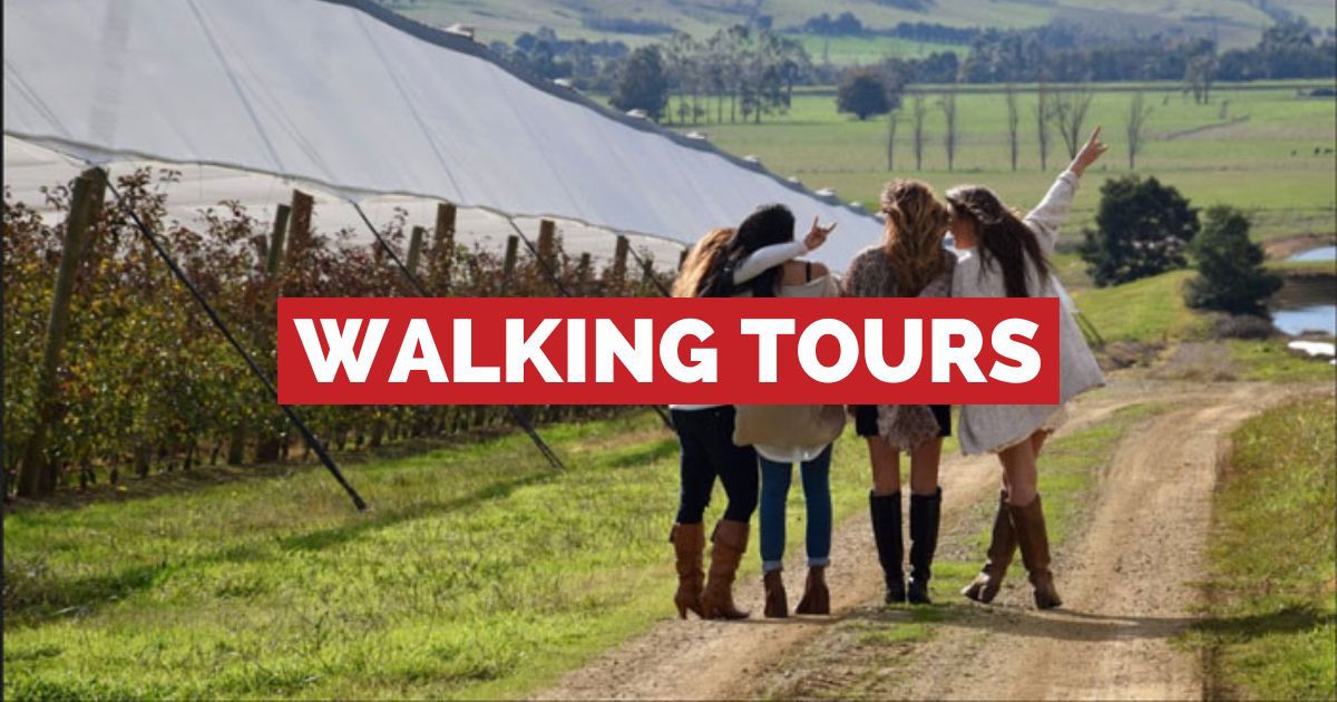 Group Walking Tours - Corporate Sightseeing - Guided Tours
